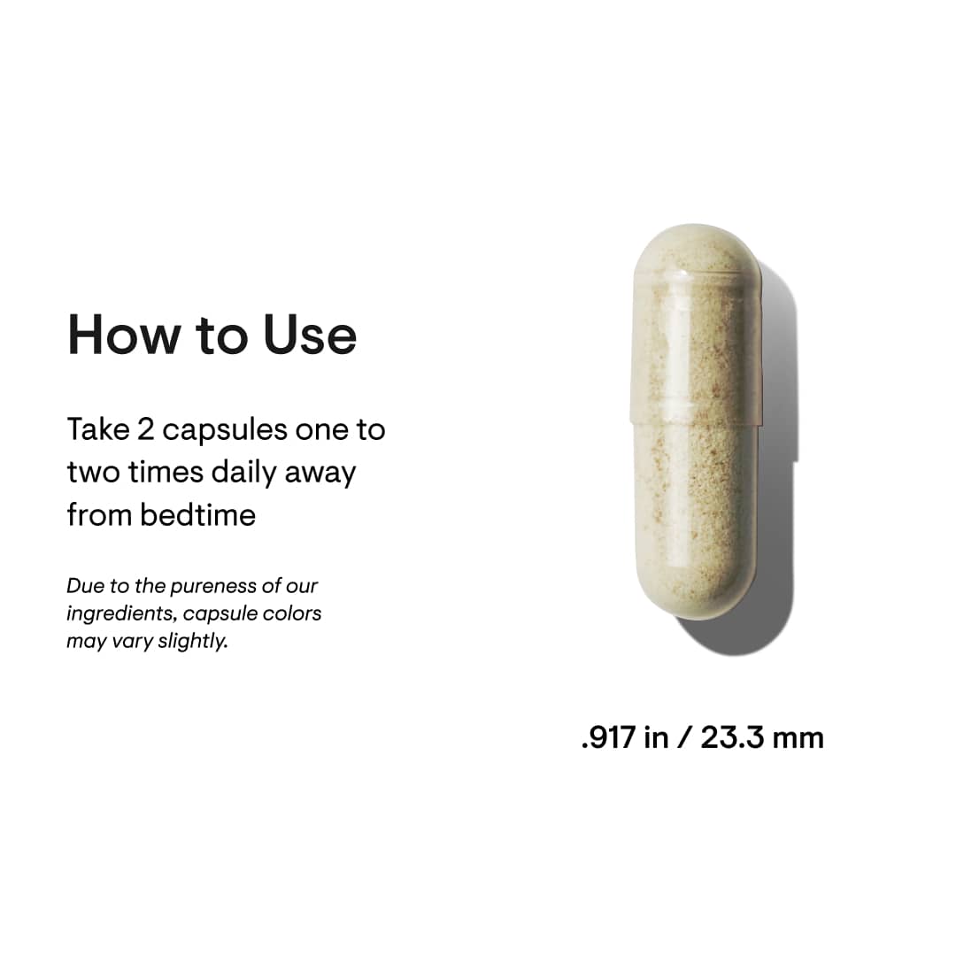 Memoractiv™ - The Wellness Trinity Store